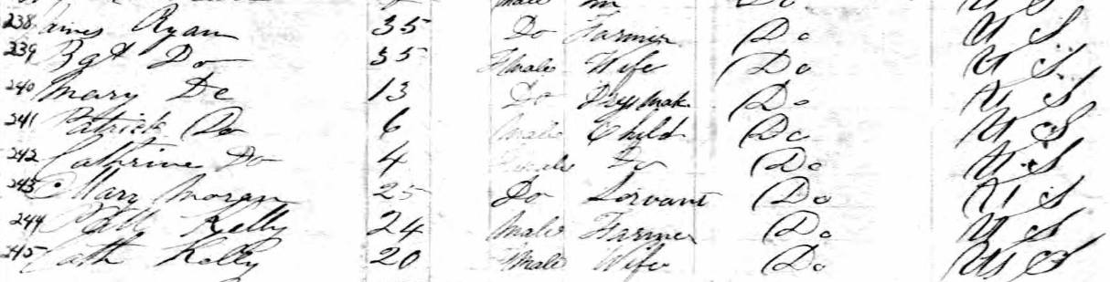 ryan-bridget-and-family-james-nesmith-passenger-list-21-march-1854 ...